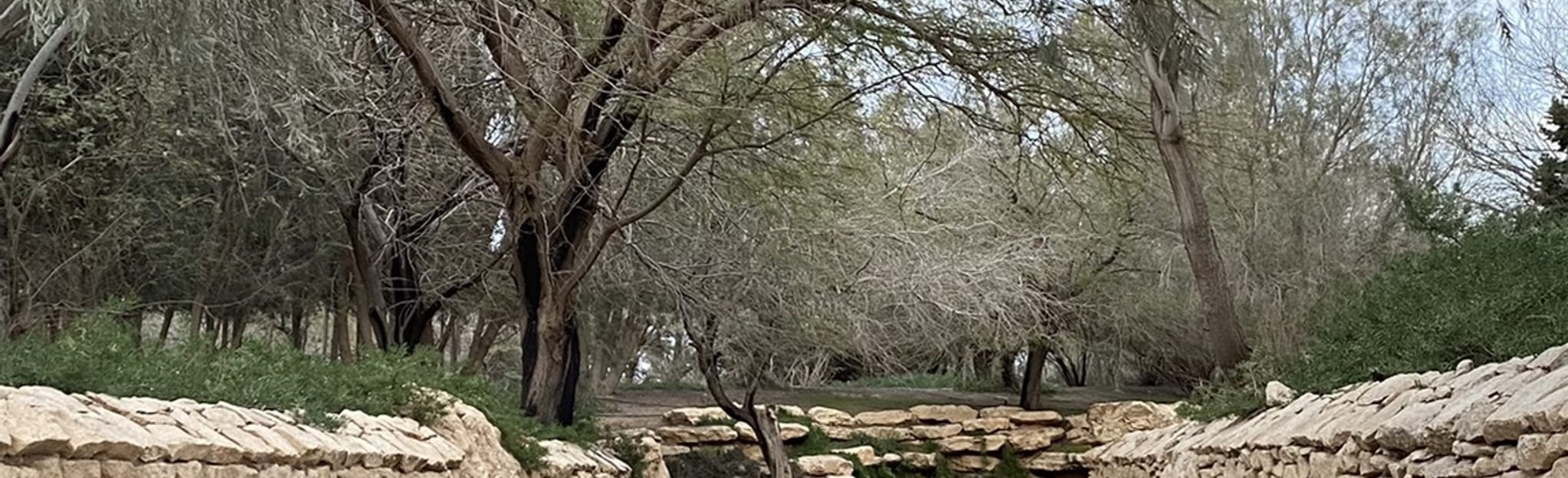 Midreshet Ben Gurion and Sde Boker Desert Fields - Southern District ...