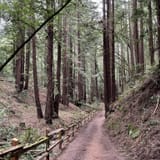 Tres Sendas Trail, California - 254 Reviews, Map | AllTrails
