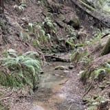Tres Sendas Trail, California - 254 Reviews, Map | AllTrails