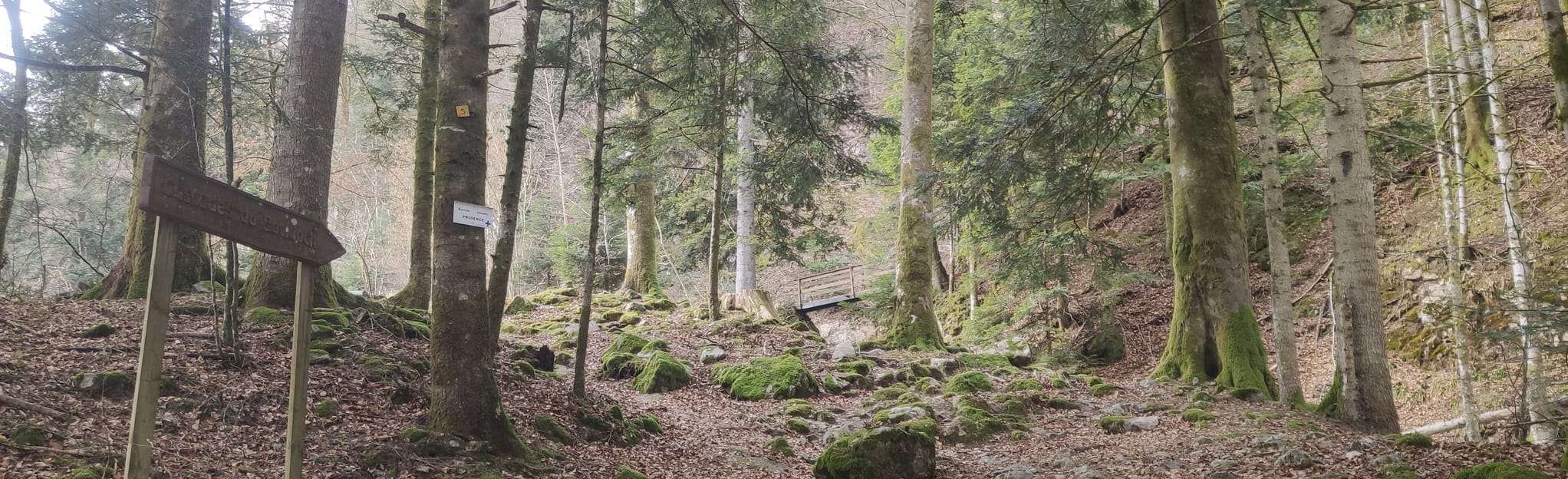 Der Grand Ventron - Damm des Lake Kruth: 131 Fotos - Haut-Rhin ...
