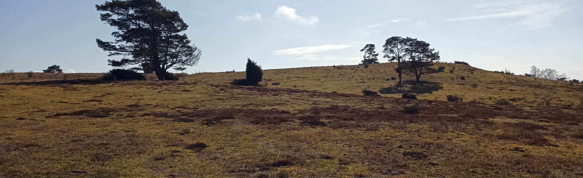 AllTrails | Tisvilde Hegn: 79 Reviews, Map - Capital Region of Denmark ...