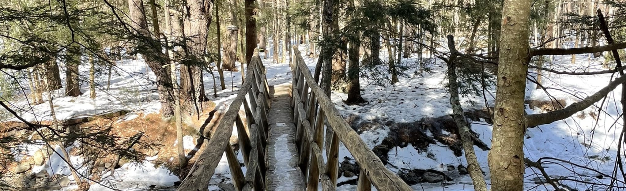 Wheelock Trail: 56 Reviews, Map - New Hampshire | AllTrails