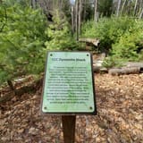 Cook Trail, Pennsylvania - 162 Reviews, Map | AllTrails