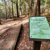 Cook Trail, Pennsylvania - 162 Reviews, Map | AllTrails