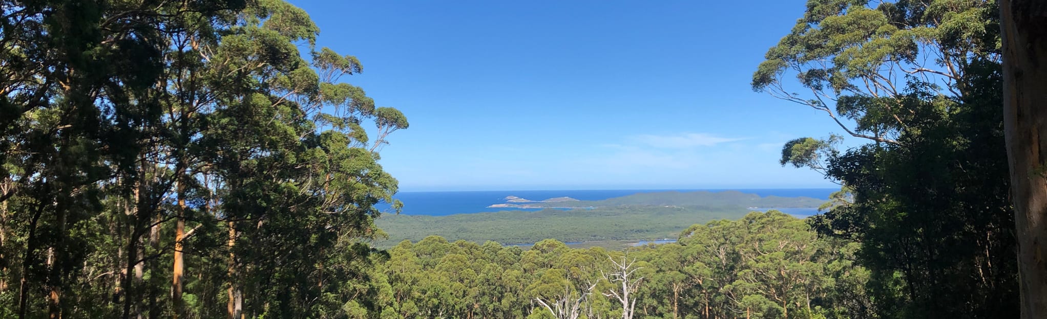 Hilltop Lookout to Tingle Tree Return: 21 Reviews, Map - Western ...