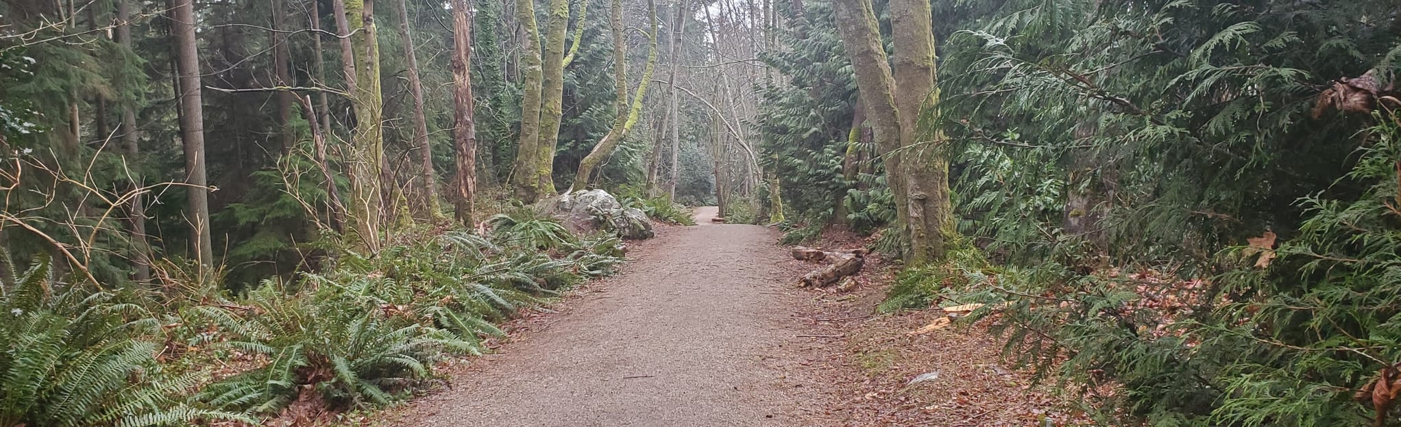 Sword Fern Trail: 55 Reviews, Map - British Columbia, Canada | AllTrails