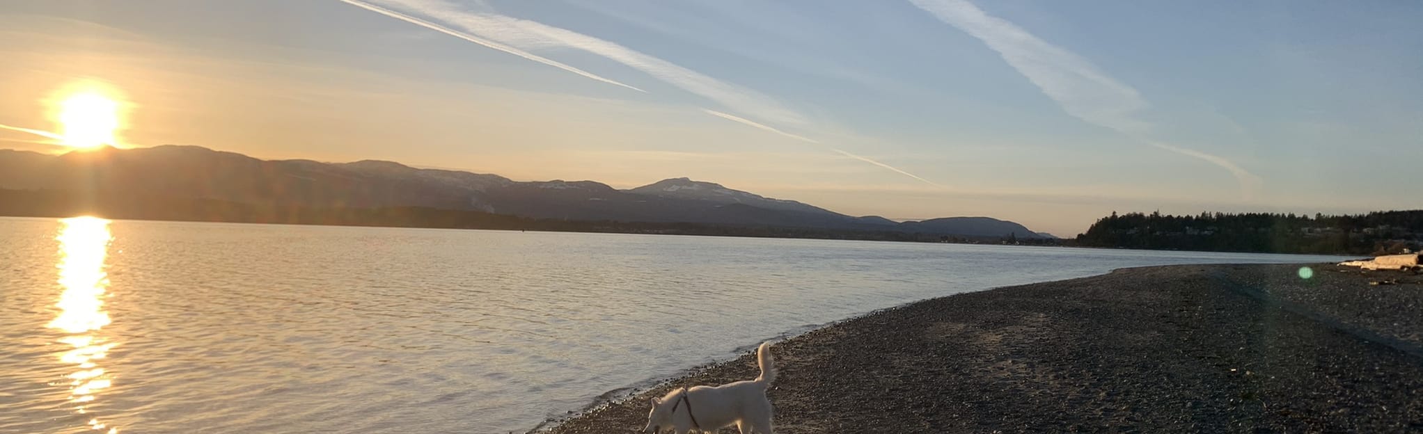 Comox Bay Paddle, British Columbia, Canada - 3 Reviews, Map | AllTrails