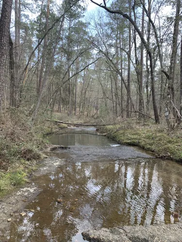 Best Hikes and Trails in Angelina National Forest | AllTrails