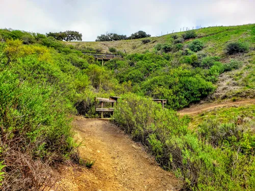 Best Hikes and Trails in Johnson Ranch Open Space | AllTrails