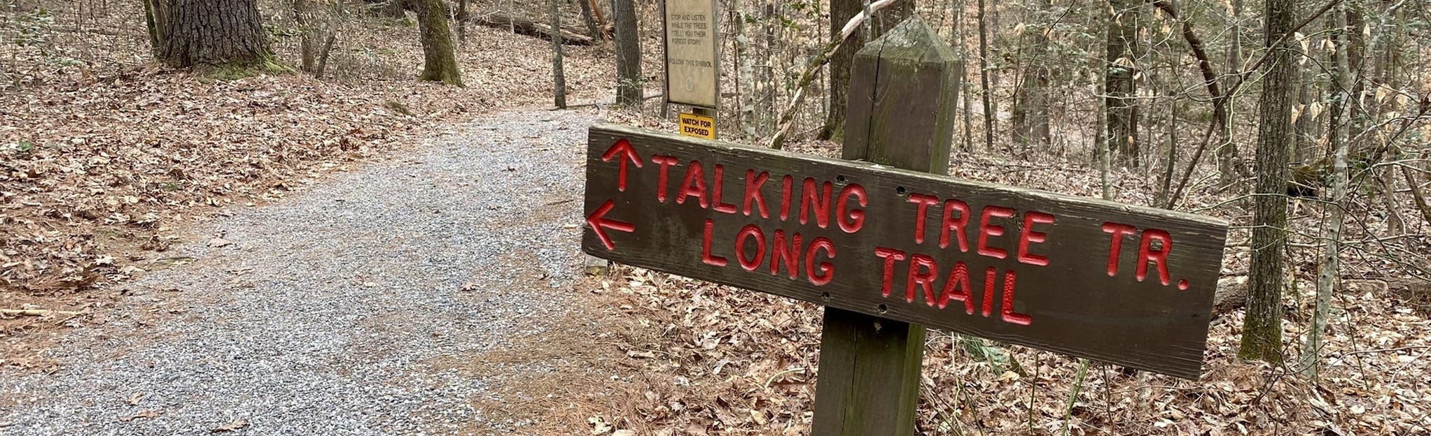 Talking Tree Trail: 20 Reviews, Map - North Carolina | AllTrails