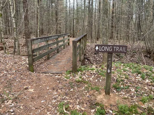 Best Hikes and Trails in Tuttle Educational State Forest | AllTrails