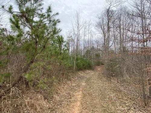 Best Hikes and Trails in Tuttle Educational State Forest | AllTrails