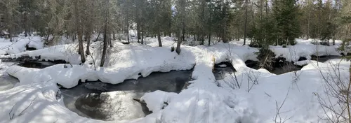 Best River Trails in Val-David | AllTrails