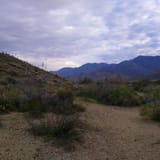 Old Overland Stage Route, California - 13 Reviews, Map | AllTrails