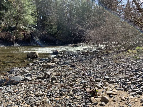 Best Lake Trails in Merville | AllTrails