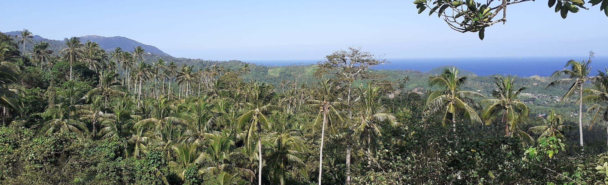 Baclayan Trail, Mindoro Oriental, Philippines - 2 Reviews, Map | AllTrails