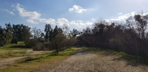 Best Hikes and Trails in Riverbottom Park | AllTrails