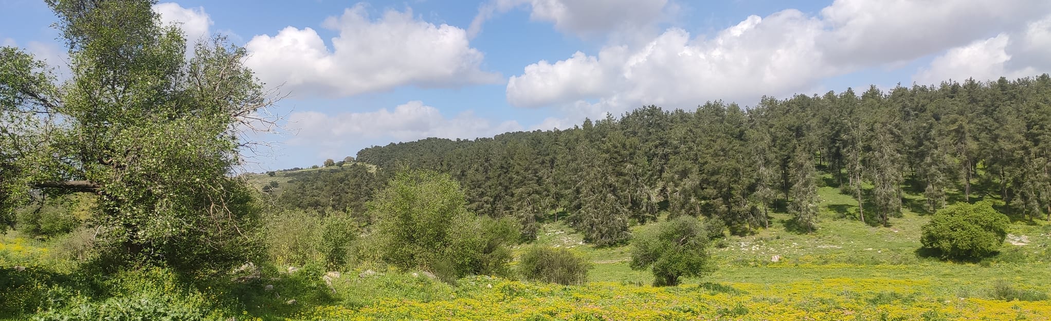 Alonei Abba and Alon HaGalil, Northern District HaZafon, Israel - Map ...