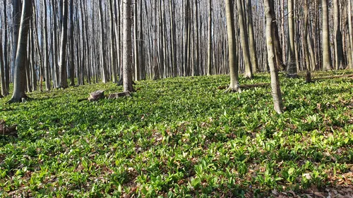 2023 Best 10 Cave Trails in Papuk Nature Park | AllTrails