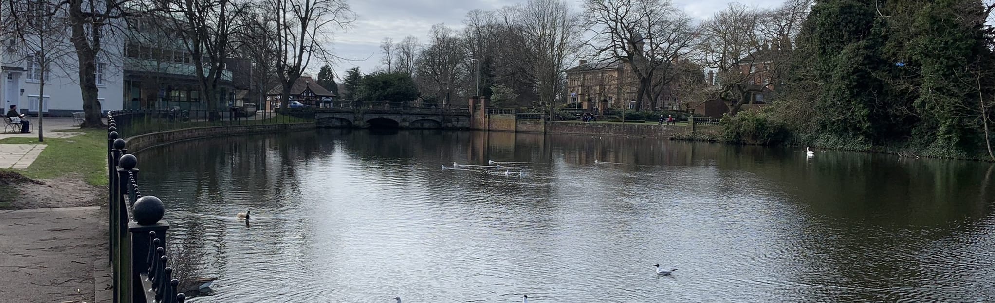 Minster Pool and Stowe Pool, Staffordshire, England - 18 Reviews, Map ...