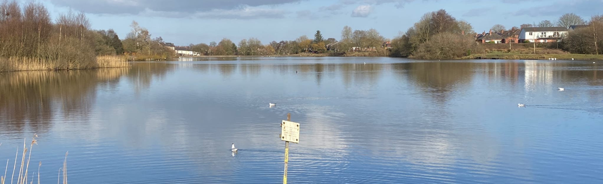 Ladybridge to Doffcocker Lodge - Greater Manchester, England | AllTrails