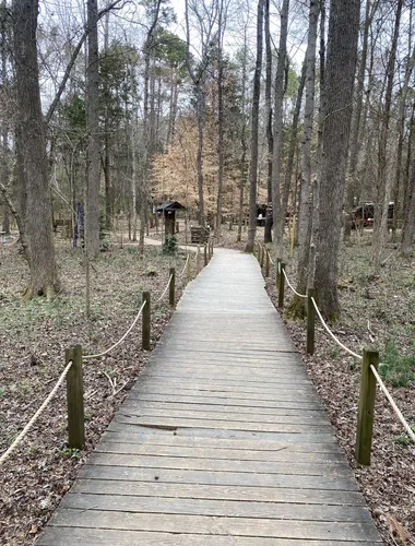 10 Best Kid Friendly Trails in Latta Nature Preserve | AllTrails