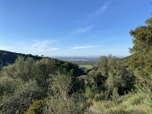 2023 Best Views Trails in Quinta do Anjo | AllTrails