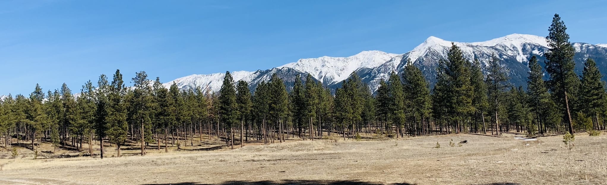 Wasa Lake to Premier Lake MTB: 1 Reviews, Map - British Columbia ...