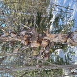 Parlee Brook Amphitheatre Trail, New Brunswick, Canada - 173 Reviews ...