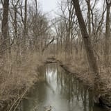 White River Greenway Loop, Indiana - 87 Reviews, Map | AllTrails