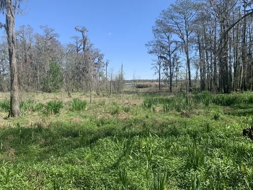 Best Hikes and Trails in Joyce Wildlife Management Area | AllTrails