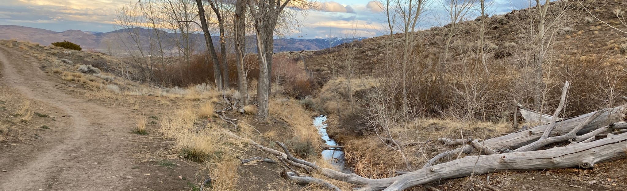 Ballardini Ranch Trail: 224 Reviews, Map - Nevada | AllTrails