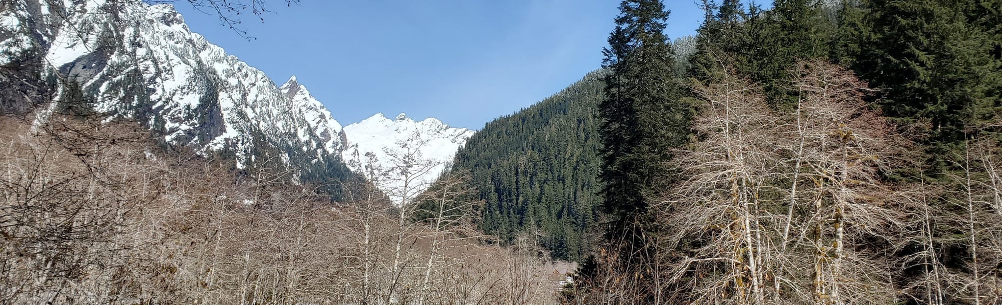 Enchanted Valley Chalet via East Fork Quinault River Trail: 1.527 foto ...