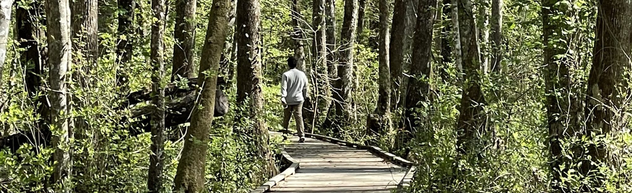 Sally Ward Trail, Florida - 189 Reviews, Map | AllTrails