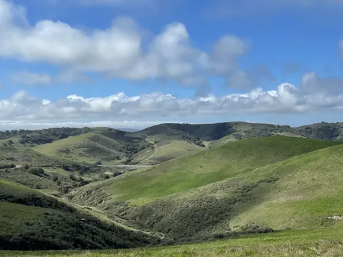 Best Hikes and Trails in Los Flores Ranch Park | AllTrails