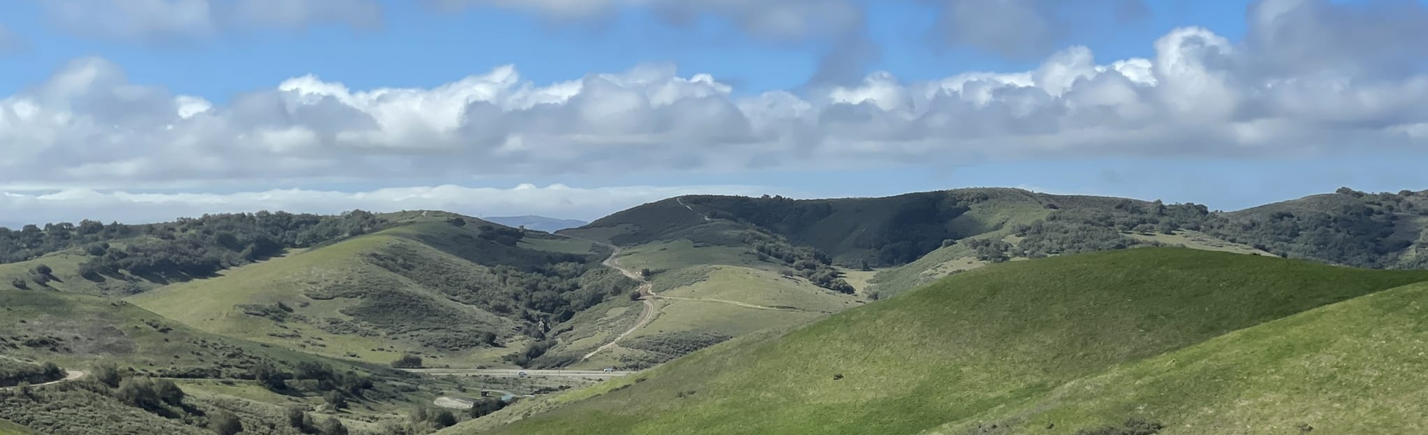 West and East La Cuesta Trail, Acorn Trail, and Ridge Top Trail Loop ...