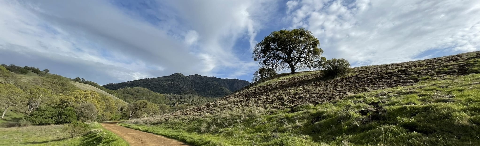 Back Creek and Donner Canyon Loop: 539 Reviews, Map - California ...