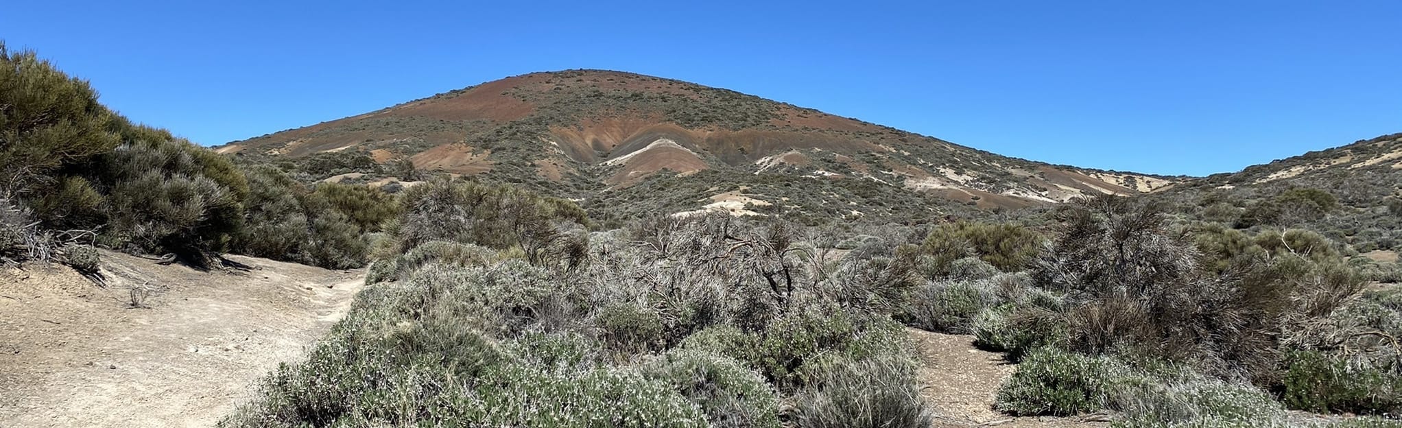 Volcán de Fasnia: 59 fotos - Tenerife, Spain | AllTrails