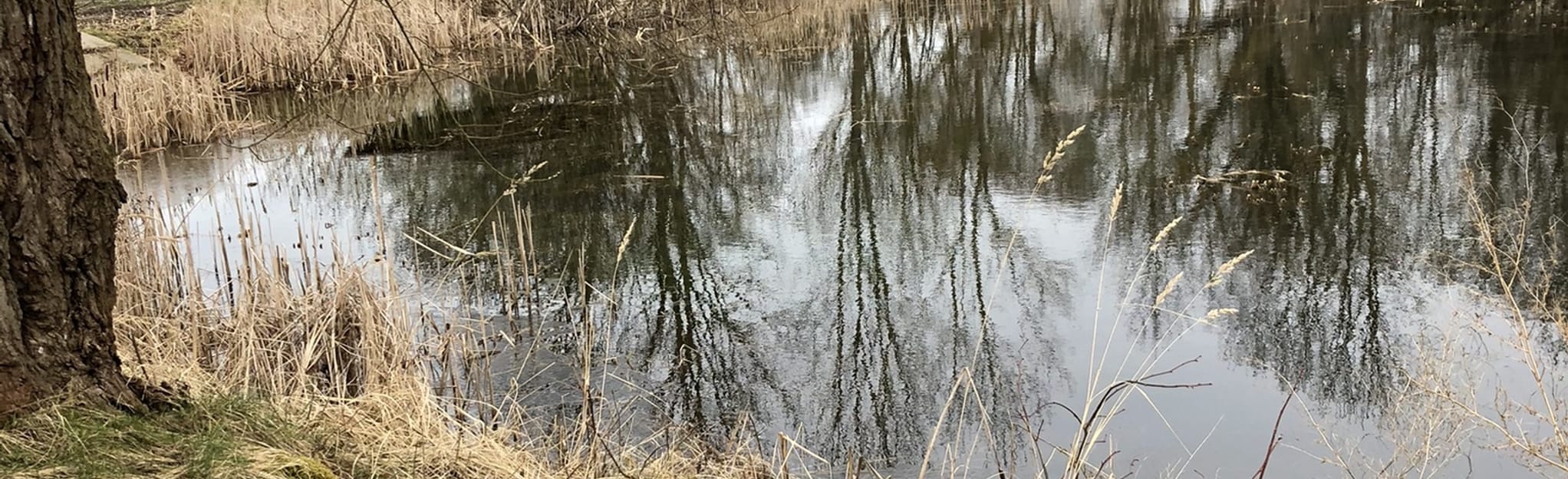 Neu Rhäse - Brodaer Holz | Map, Guide - Mecklenburg-Western Pomerania ...