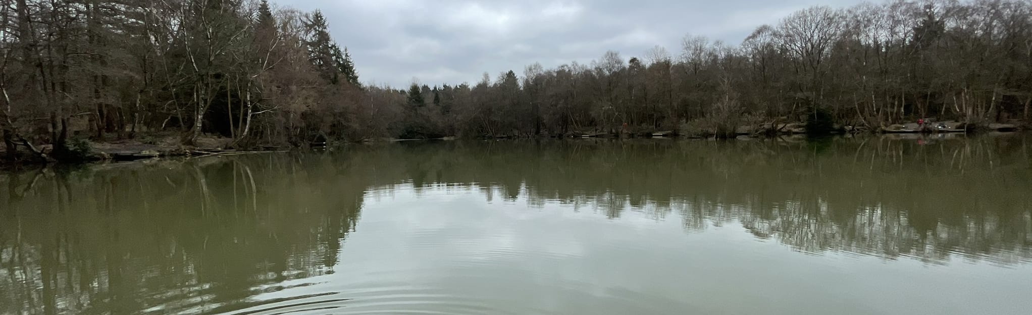 Tilgate Park and Lake, West Sussex, England - 11 Reviews, Map | AllTrails