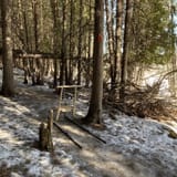 Old Quarry and Stony Swamp Trail Loop, Ontario, Canada - 321 Reviews ...