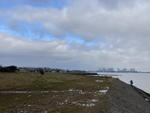 2023 Best River Trails in Harwich | AllTrails