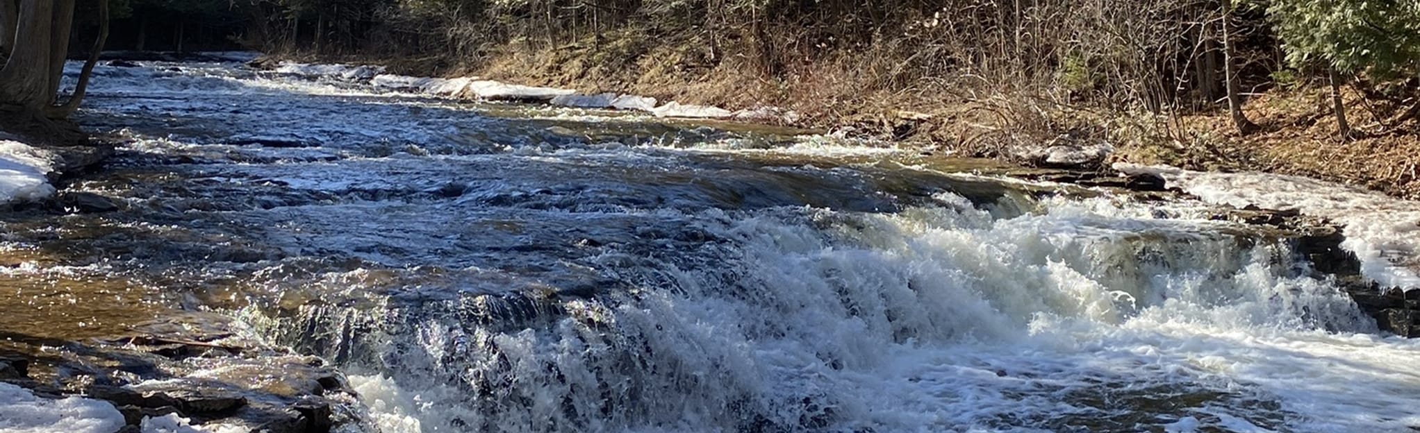 Ocqueoc Falls, Michigan - 153 Reviews, Map | AllTrails