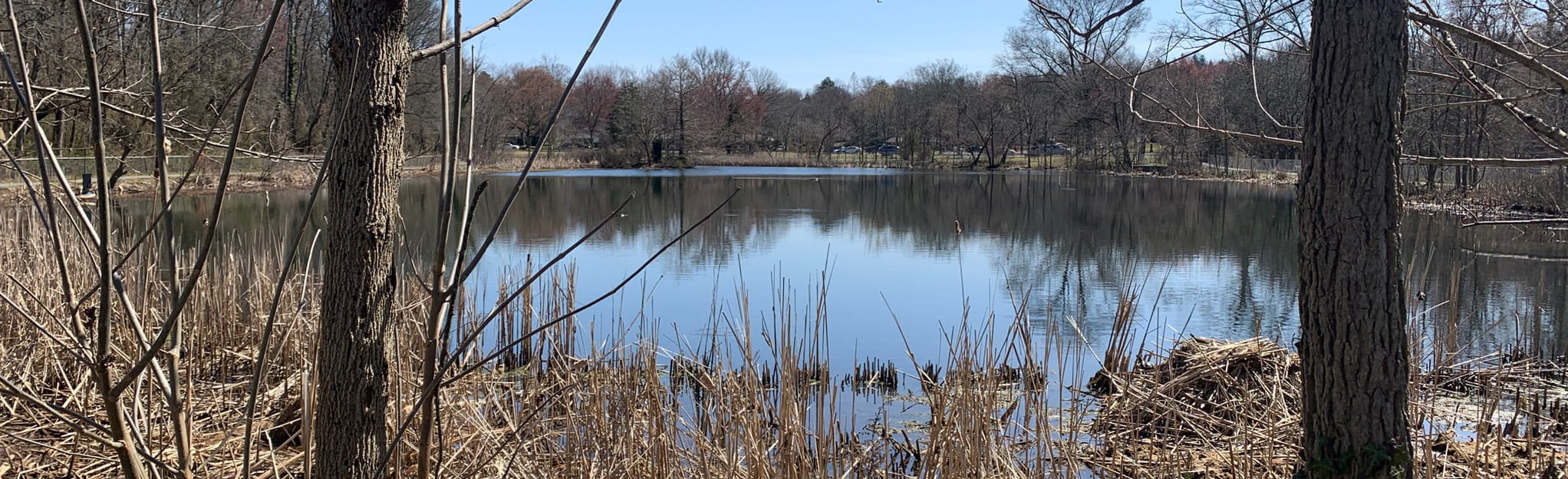 University Hills Recreation Center Loop | Map, Guide - Maryland | AllTrails