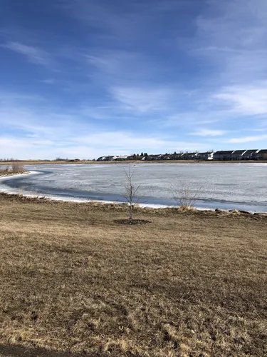 Best Walking Trails in Strathmore | AllTrails