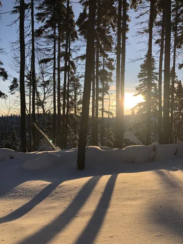 Best Lake Trails in La Corne | AllTrails