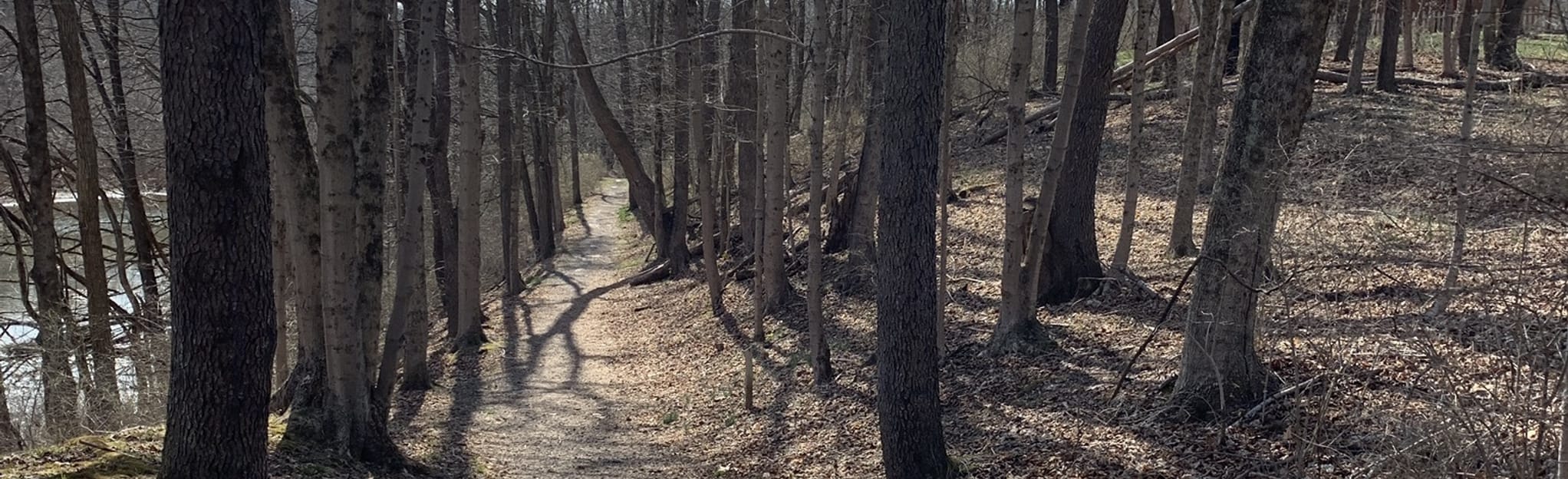 Prickett Cemetery Trail - West Virginia | AllTrails
