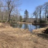 Finzel Swamp Trail, Maryland - 40 Reviews, Map | AllTrails