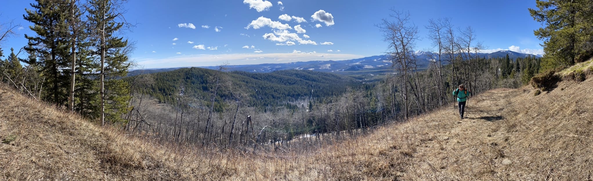 Ole Buck Mountain (South Side): 14 Reviews, Map - Alberta, Canada ...