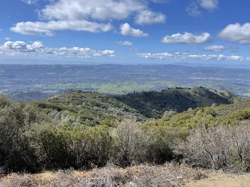 10 Best Hikes and Trails in Mount Diablo State Park | AllTrails